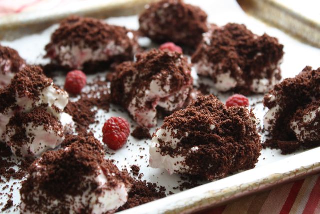 Dollop of Cream: chocolate raspberry horse turds