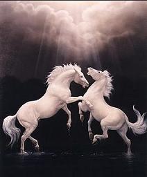 Entre Luna y Estrellas: Valiente - Koko Stambuk