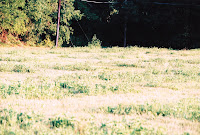 The Rasch Outdoor Chronicles: A Chronicles' Interview: Bo Parham of ...