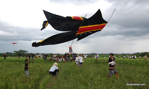 Bebean kites and the Bali Kite Festival | The Family Travel Blog