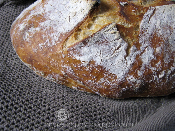 make happy: bread in five minutes: day 1