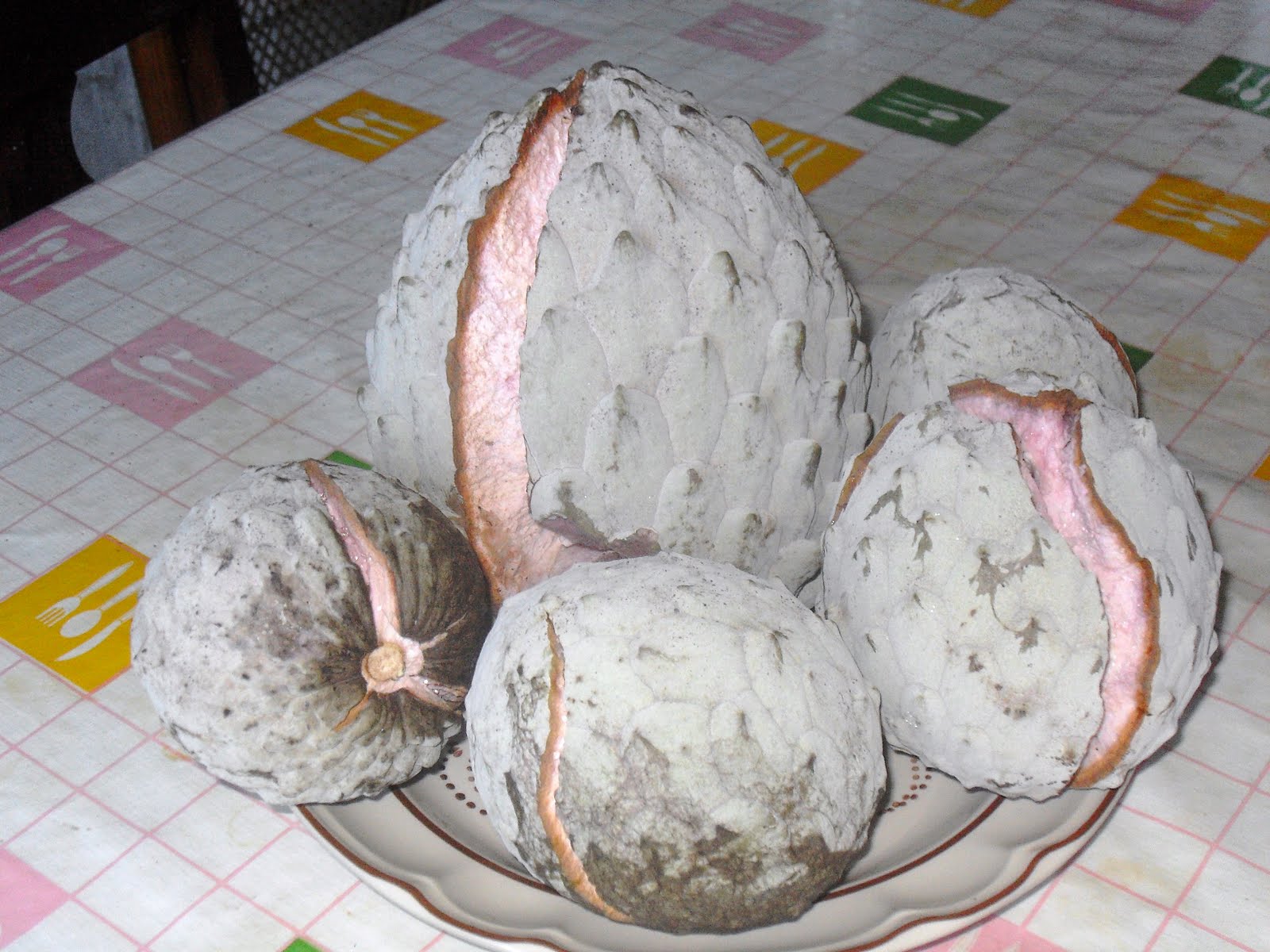 Educativo.com.mx: El papause de san Francisco Ixhuatán, Oaxaca