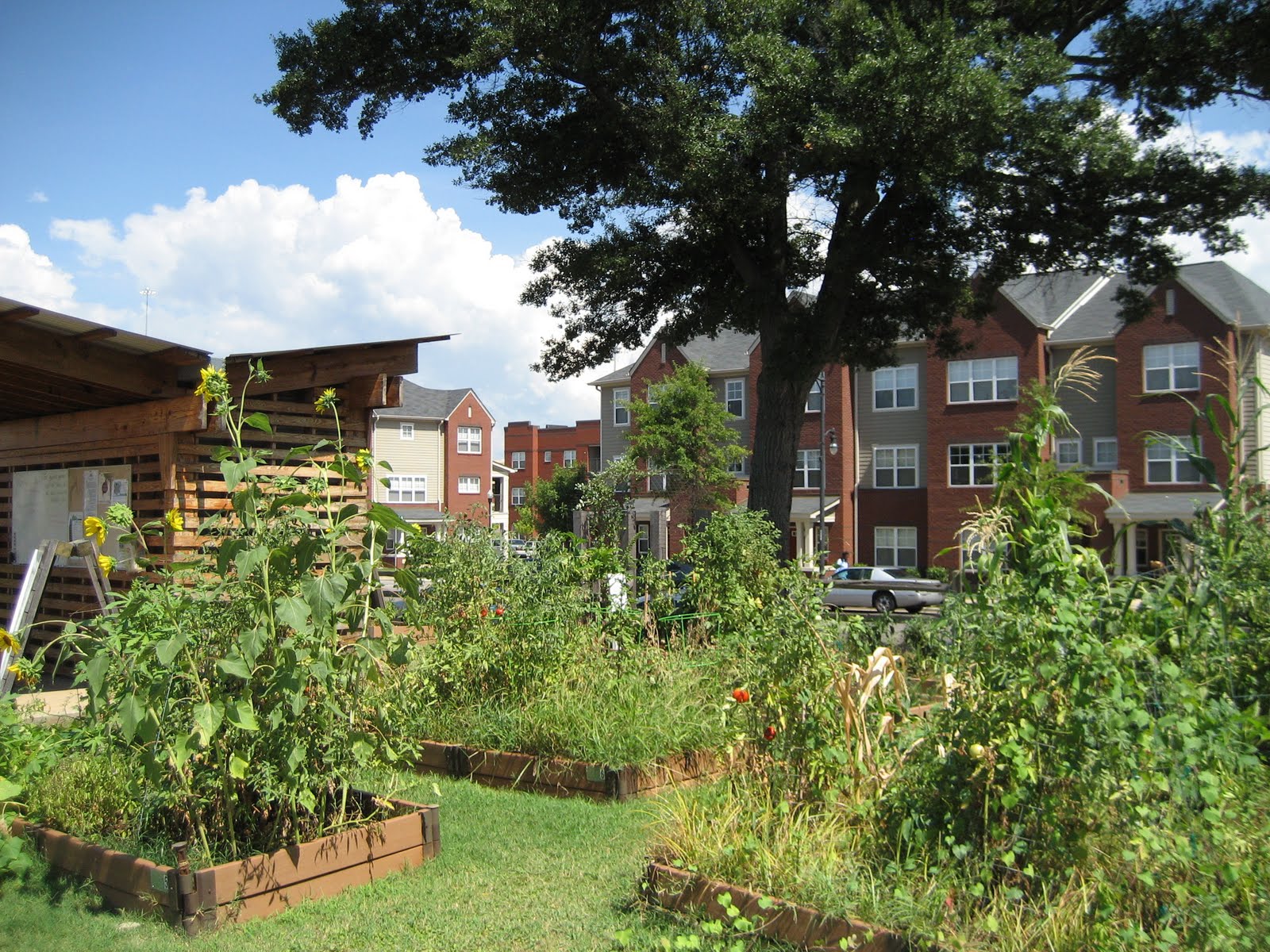 Urbanism...New Urbanism: Comparing New Urbanist Communities