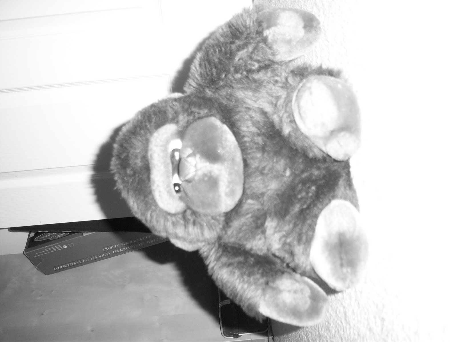 Guffer and Jono: Pics