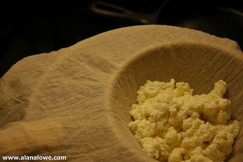 How To Make Paneer (Indian Cheese) - ABCD's of Cooking