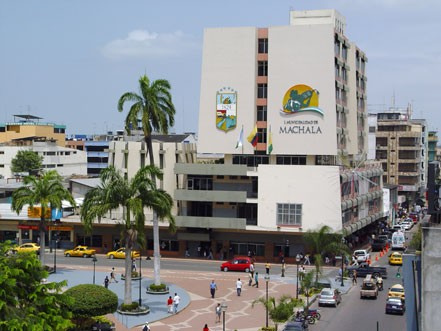 Capital Mundial del Banano: Machala, capital bananera del mundo