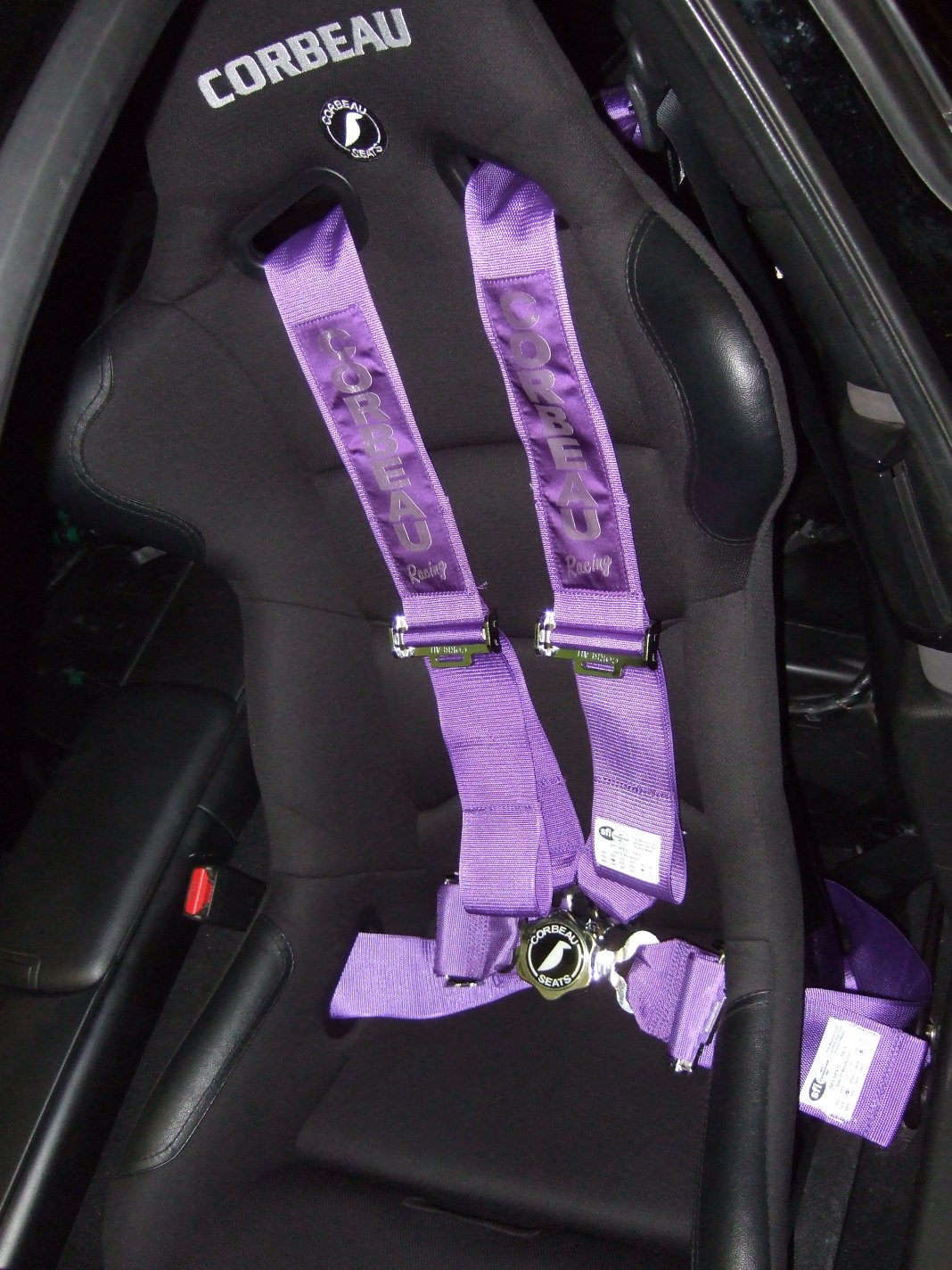 Monnar Motorsports: Corbeau Purple Harnesses