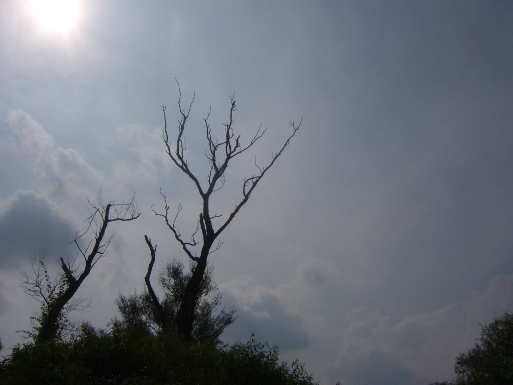 Haihui prin Lume : Romania,Delta Dunari