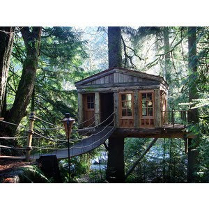 ...Today Was a Fairytale.: {Picture} It: The Ultimate Tree-Fort