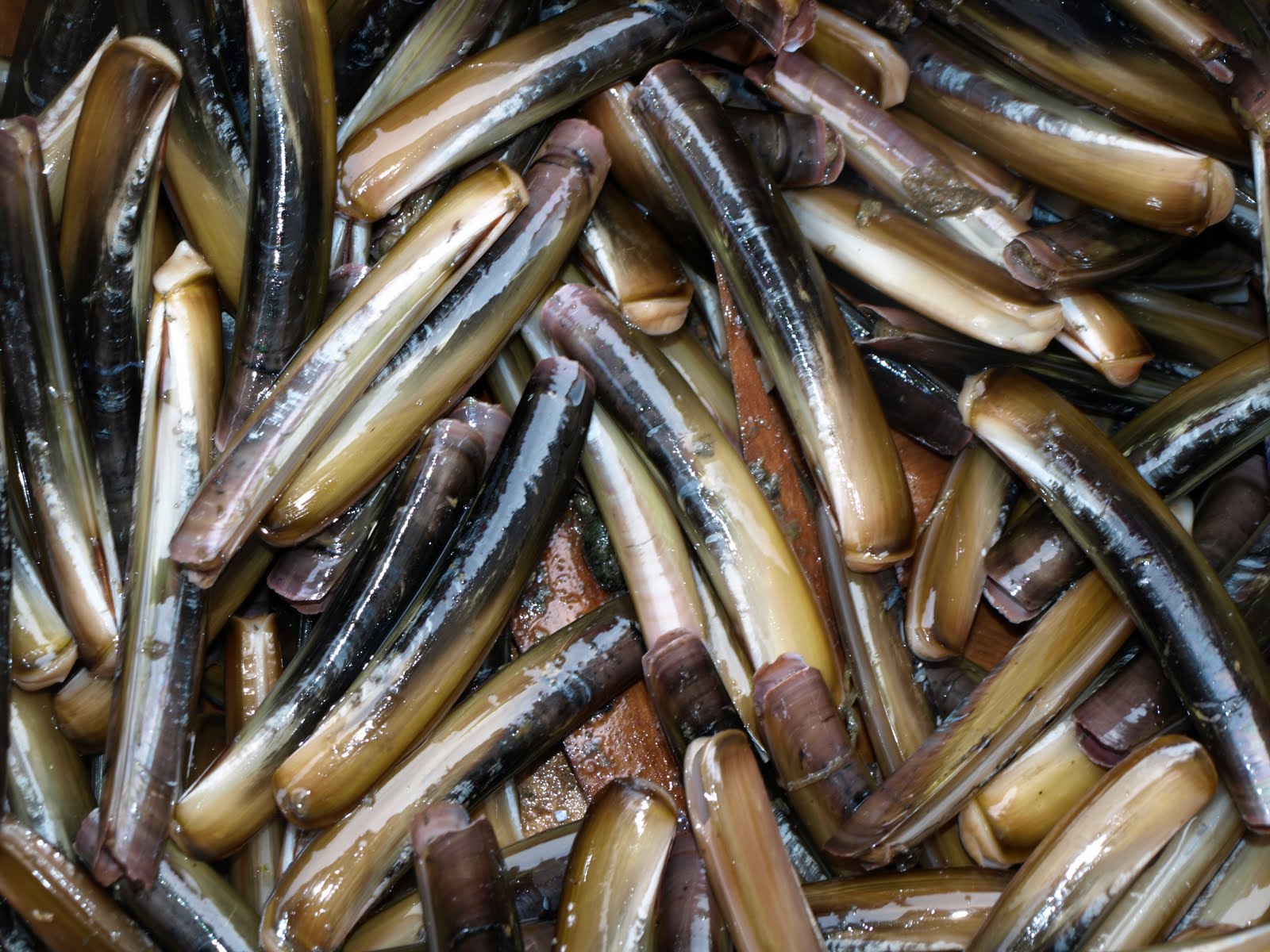 Photos: June 2010 at the Greenmarket