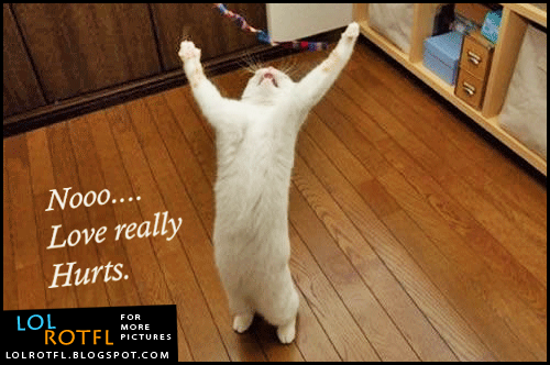 LOL and ROTFL Stuffs. Enjoy Rare Pictures and Videos.