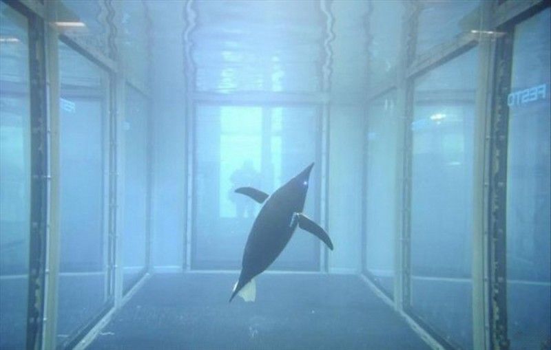 Bionic Robot, Aqua Penguin