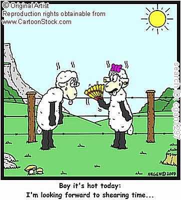 Animal Science News: Hot Hay Prevention and Control