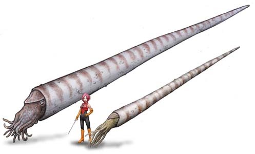 Catalogue of Organisms: More giant cephalopods