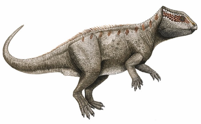 Troodontidae: Albalophosaurus yamaguchiorum y el origen de Ceratopsia.