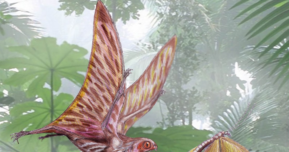 Catalogue of Organisms: Butterflies Before there were Butterflies