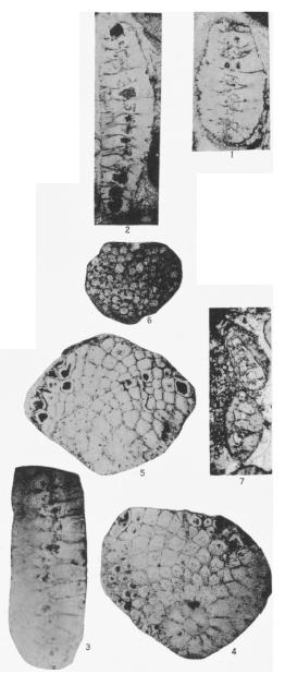 Catalogue of Organisms: Spiral, then Spread
