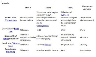 Reading Corner: Skor Apgar