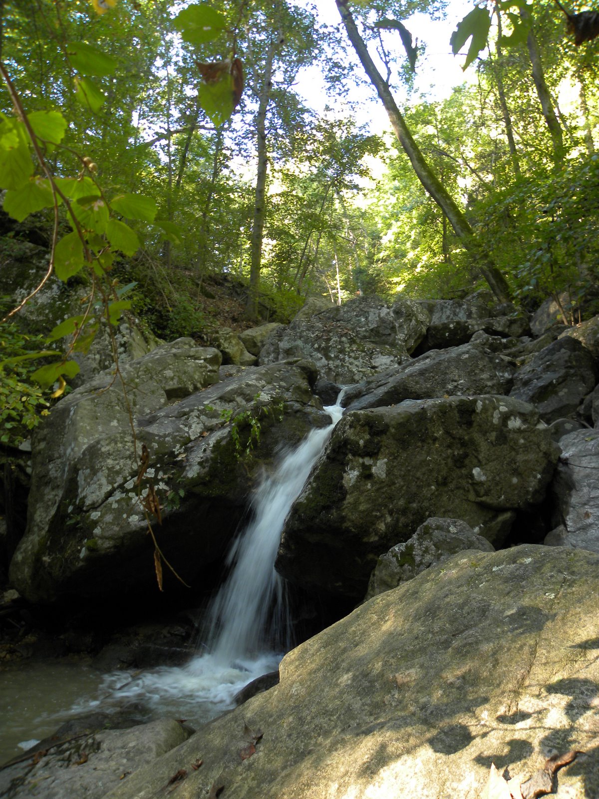 Kathy's Travels: Cascade Falls Trail at Patapsco State Park