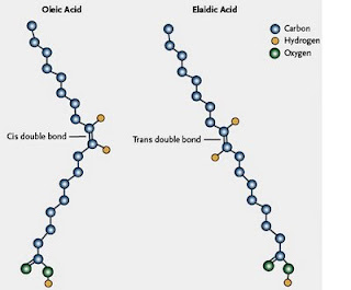 Oddveig-Naturfag: Bygg modell av en cis-fettsyre og en trans-fettsyre