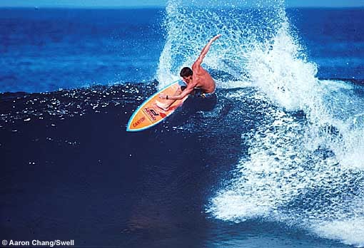 : Board Collector: Floridain big wave gun?