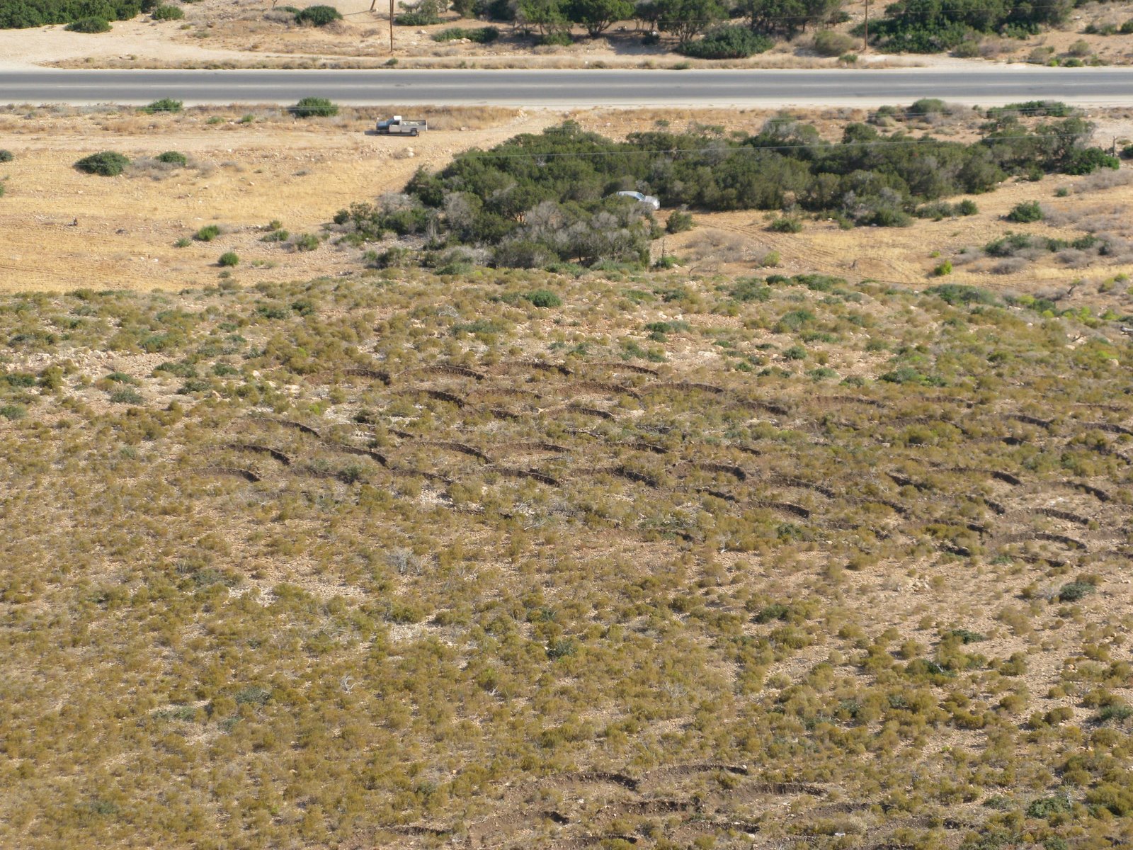 Multipurpose Afforestation Project - Libya: Ra's Al Hilal - Soil ...