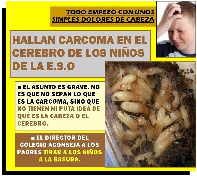 Hallan carcoma en cerebro de niños de ESO