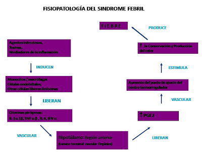 MEDICINA Y SALUD PUBLICA: TEMPERATURA CORPORAL - SÍNDROME FEBRIL