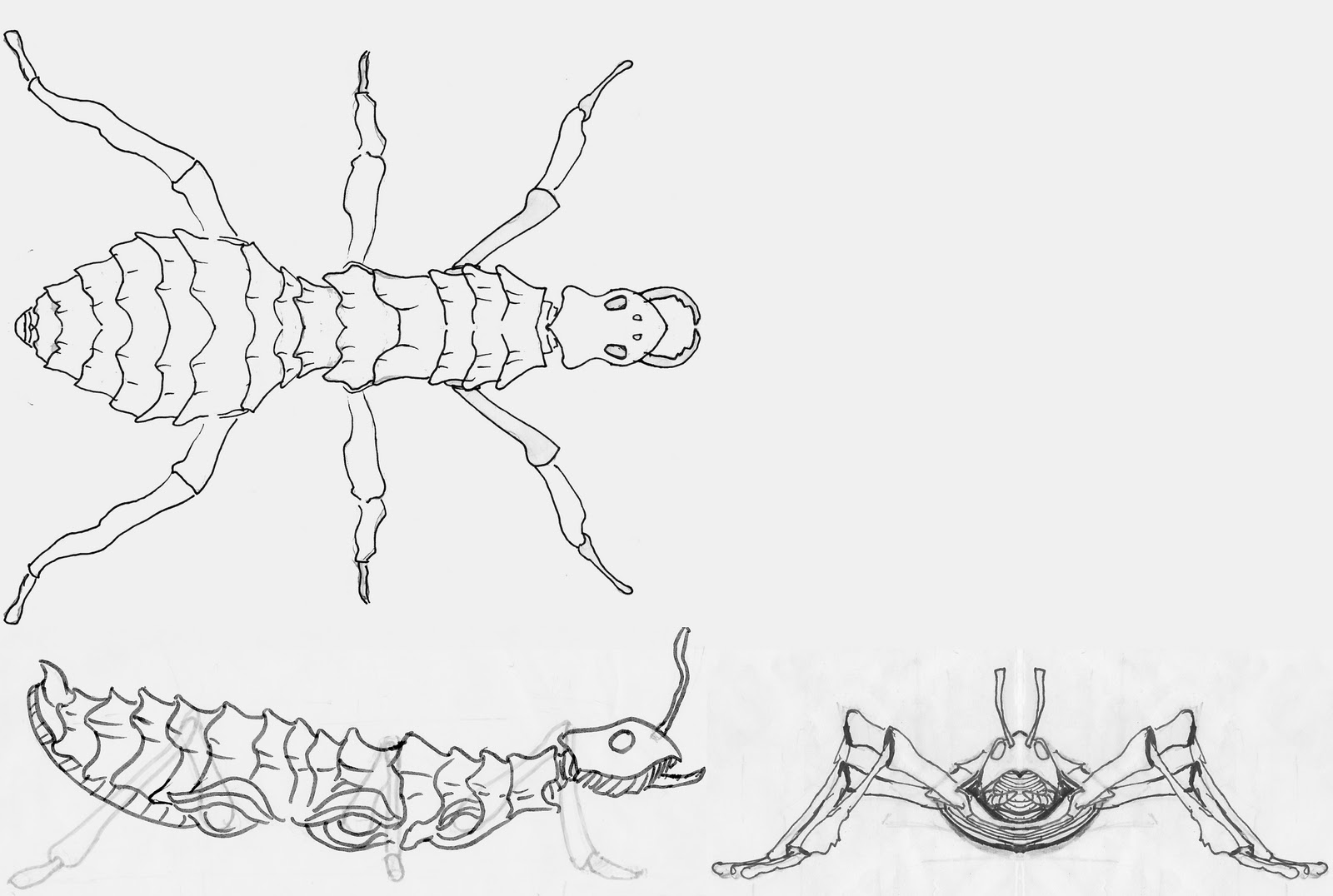 VIZA 644: Poses and Top, Side, Front-View