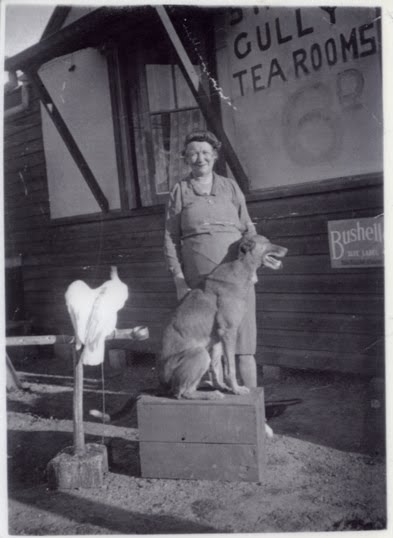 Was The Dog On The Tuckerbox Moved