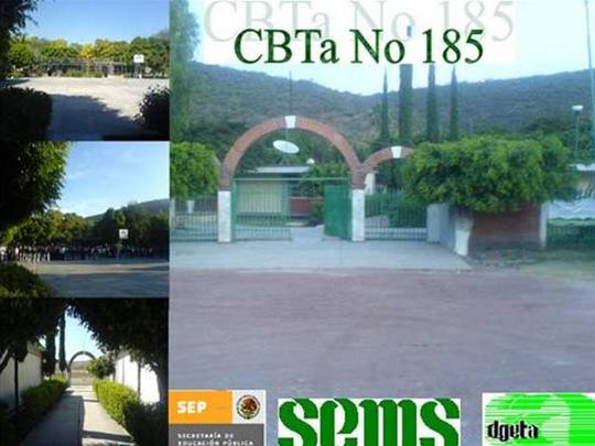 REDES 6 A INF. CBTa 185: Actividad 17 mapas de admistracion y gestion ...