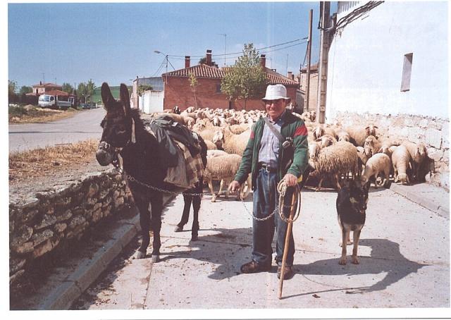 San García Abad, ruega por nosotros!!: El Marino y el Buen Pastor