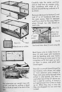 Flapdoodle: Turtle Traps