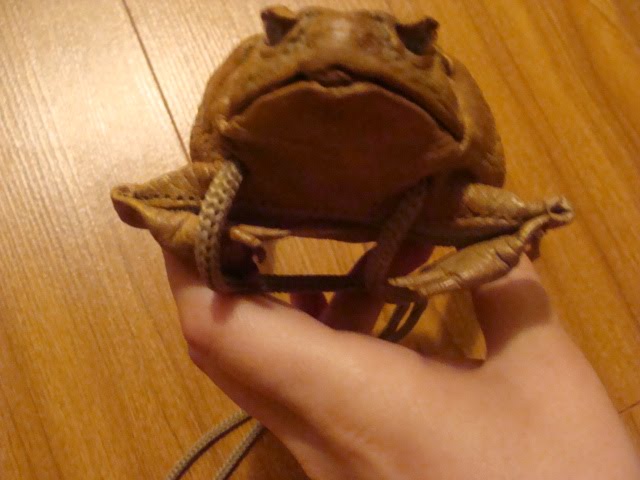 bloggycakes: filipino frog purse - made from real frog!