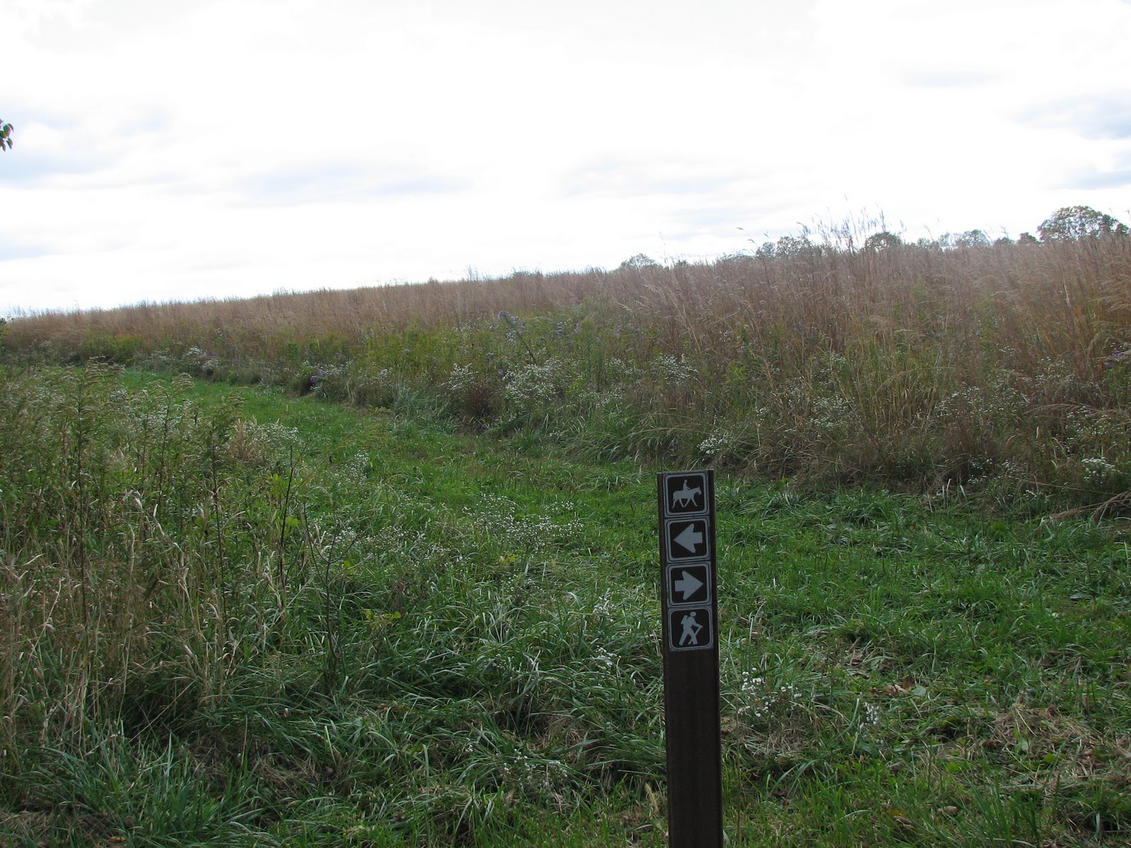 Musings from Illinois: Oak Ridge Forest Preserve 10-3-10