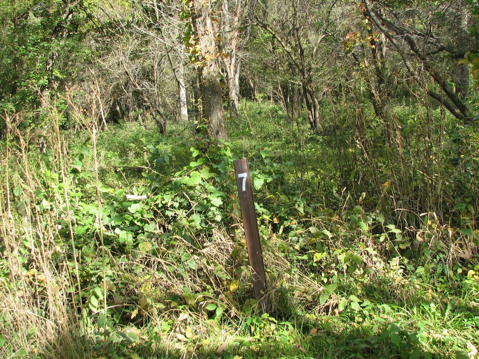 Musings from Illinois: Oak Ridge Forest Preserve 10-3-10