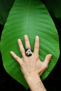 Churu y Marian en El Bolsón: Tagua