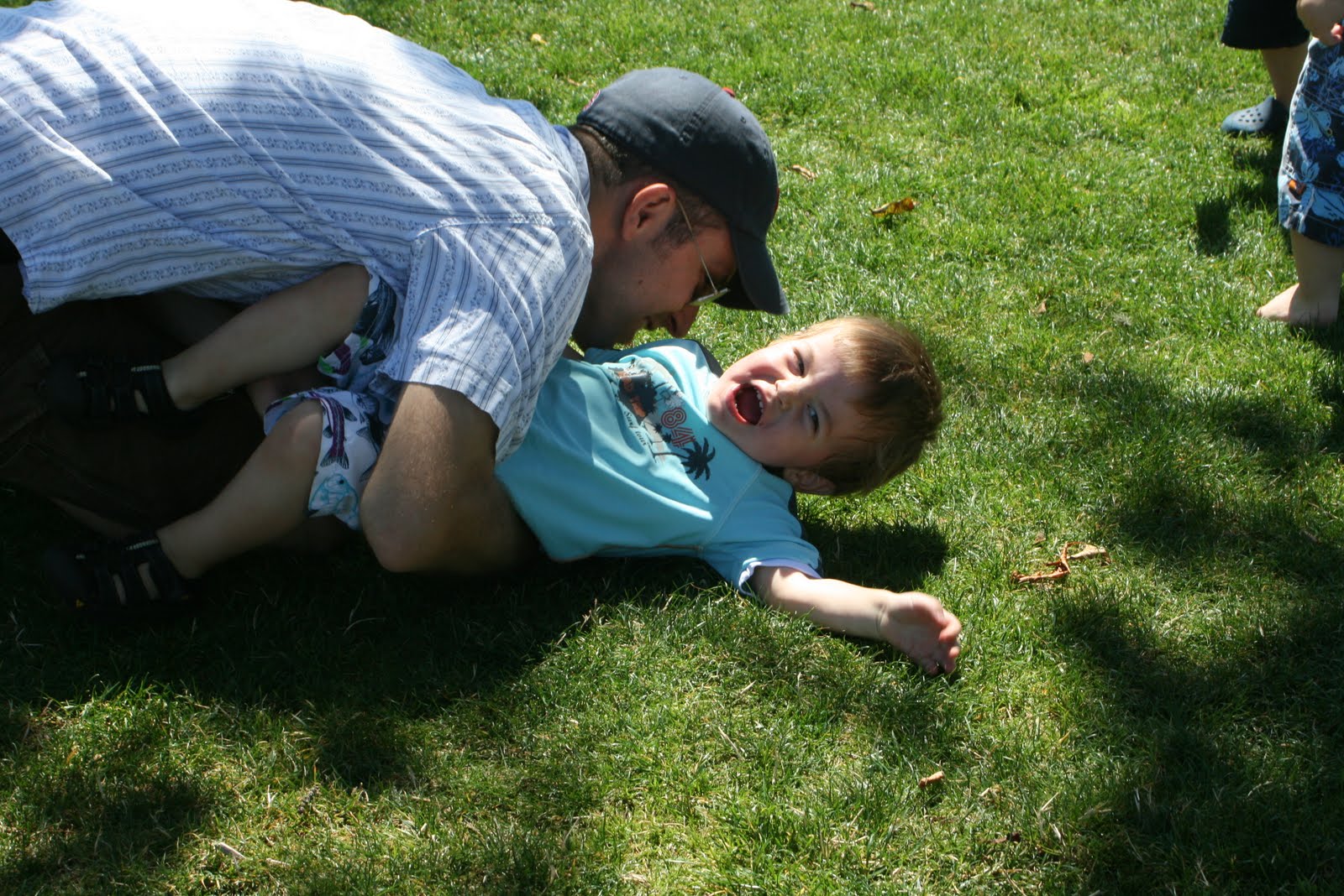 The Cohorn Chronicle