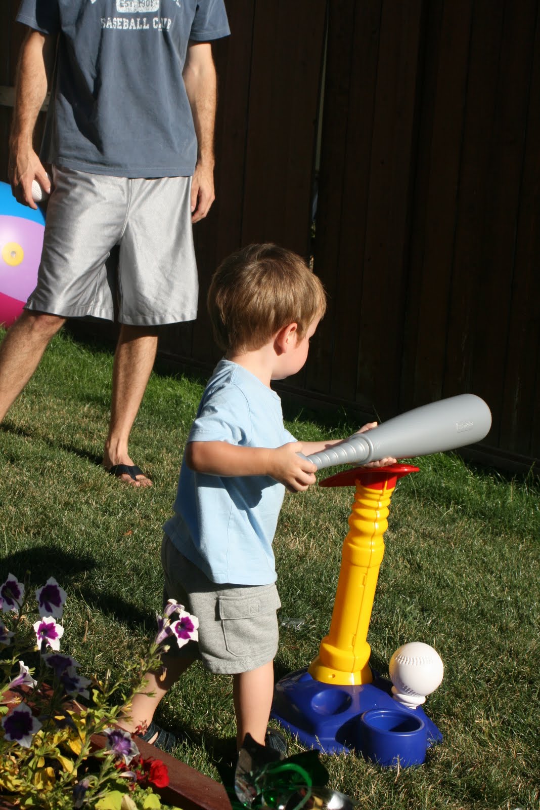 The Cohorn Chronicle