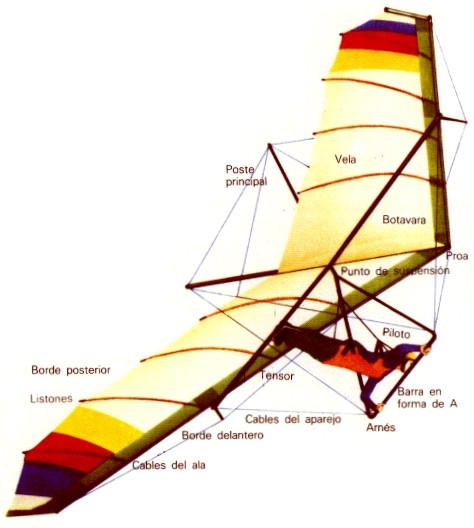 Educación Física en la Red: Ala Delta... el ser humano puede volar.