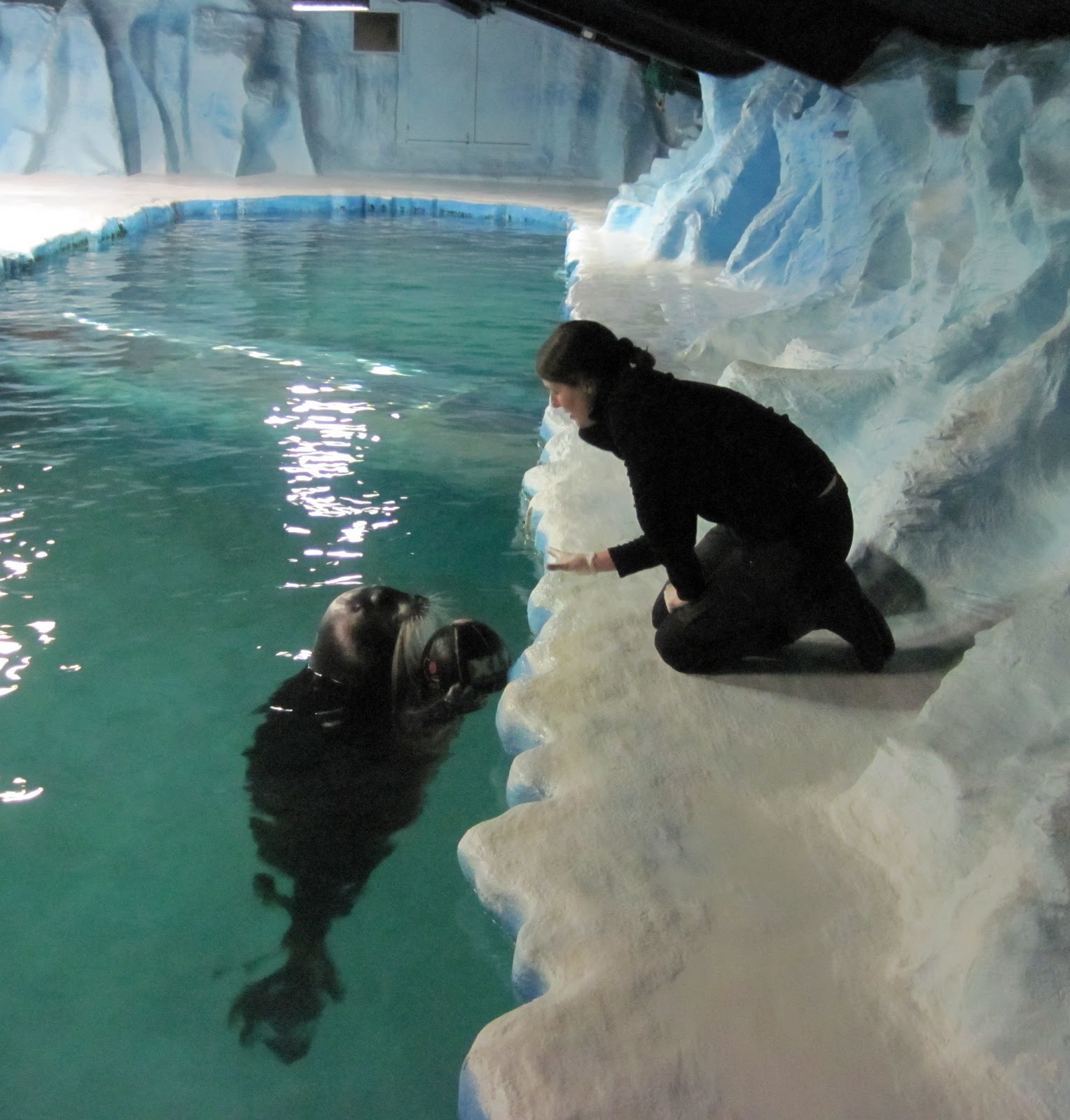 Nattsnakk fra Longyearbyen: Polaria