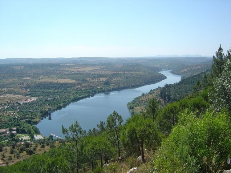 basta que sim: O Tejo é mais Belo