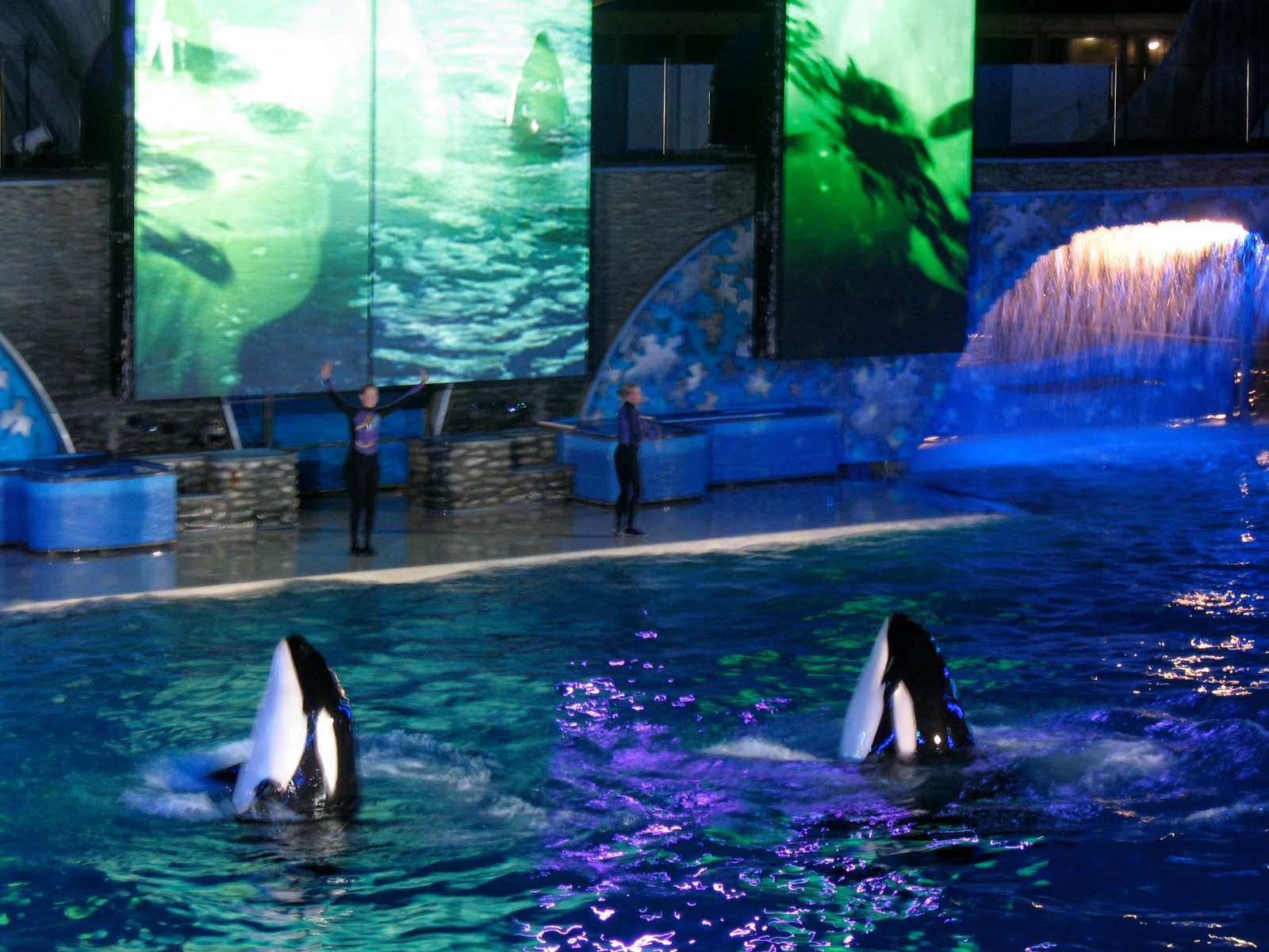 Hannah's Happenings: SeaWorld Sleepover