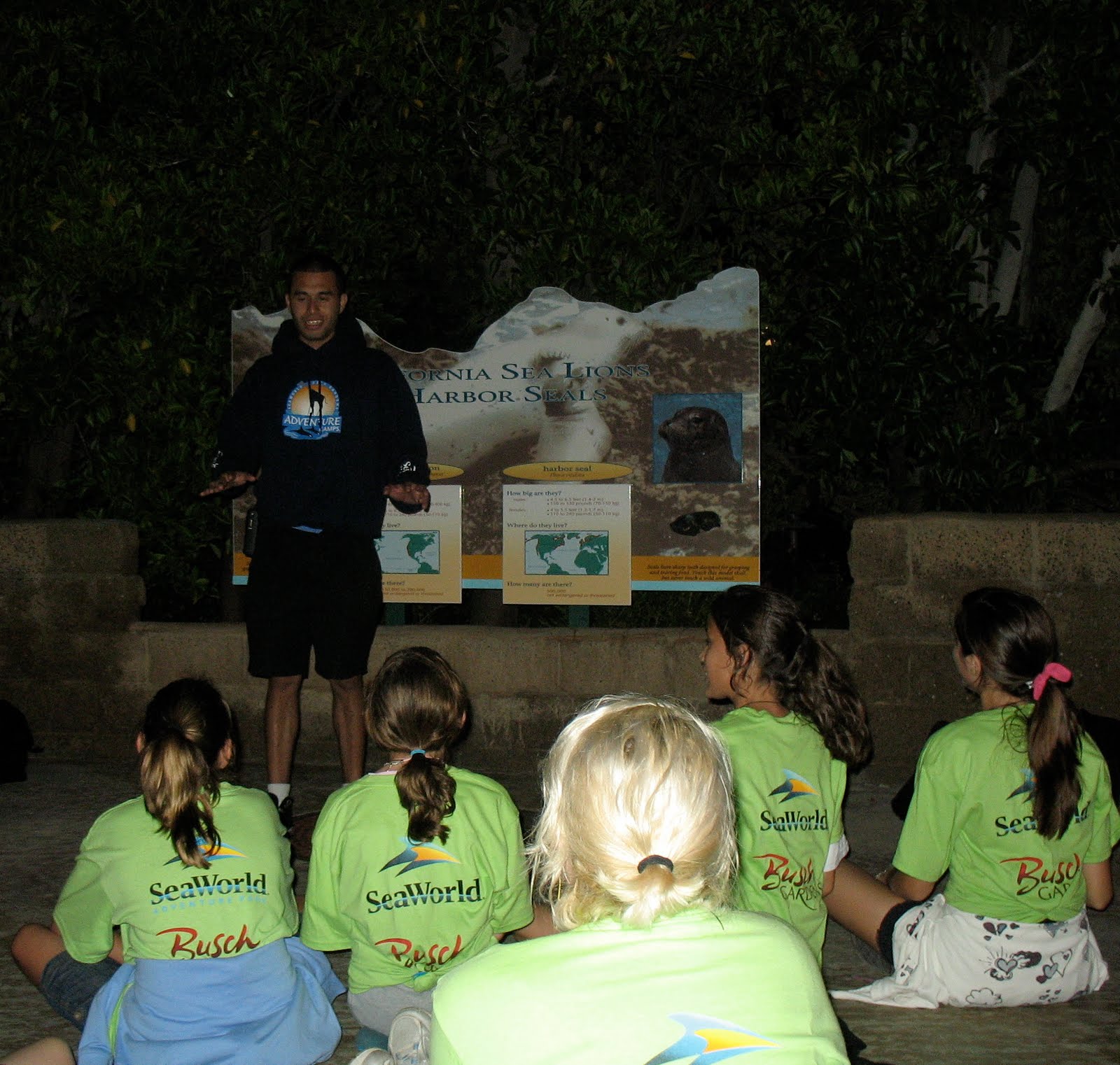 Hannah's Happenings: SeaWorld Sleepover
