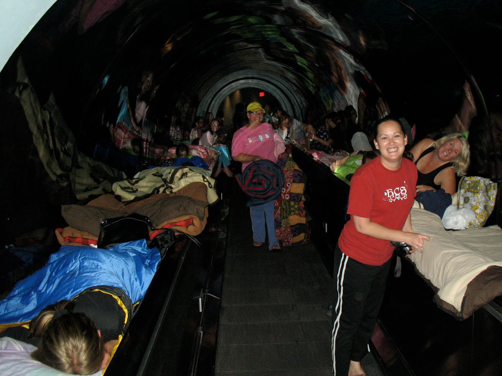 Hannah's Happenings: SeaWorld Sleepover