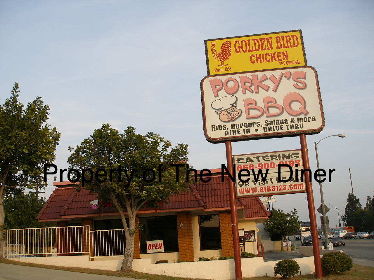 The New Diner: Golden Bird Chicken-Closed