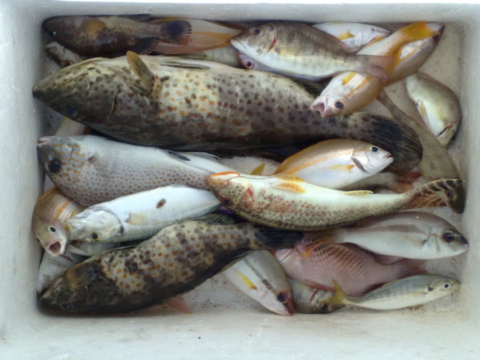 Trip pancing di Raba ~ AEROTELS FISHING CLUB