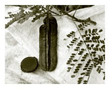 ESTUDOS BANTO: A Famosa fava de ARIDAN