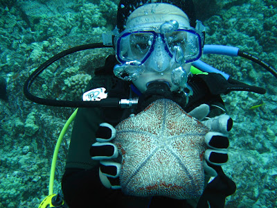 Living Life: Austin Feeds a Trident's Trumpet Snail