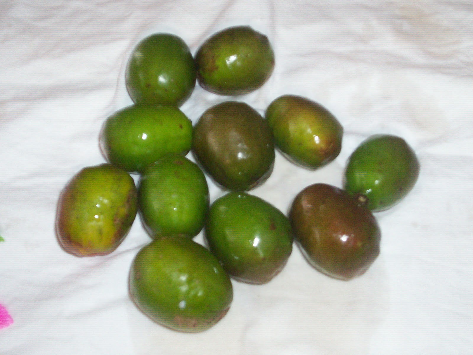 "NATURALEZA Y PRENDAS": "JOCOTE"